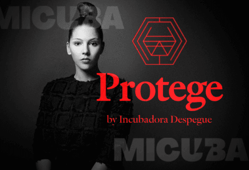 Programa De Certificaciones Protege De Incubadora Despegue【CURSO BARATO】